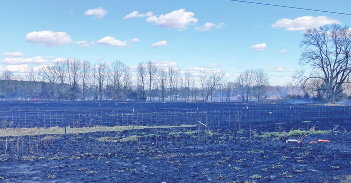 Grass fire scorches over 40 acres in Chapel Hill | Mount Pleasant