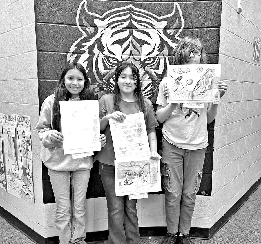 MPJH art students win ribbons at Titus County Fair | Mount Pleasant