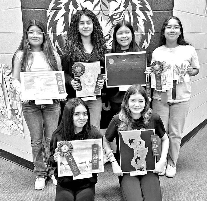 MPJH art students win ribbons at Titus County Fair | Mount Pleasant