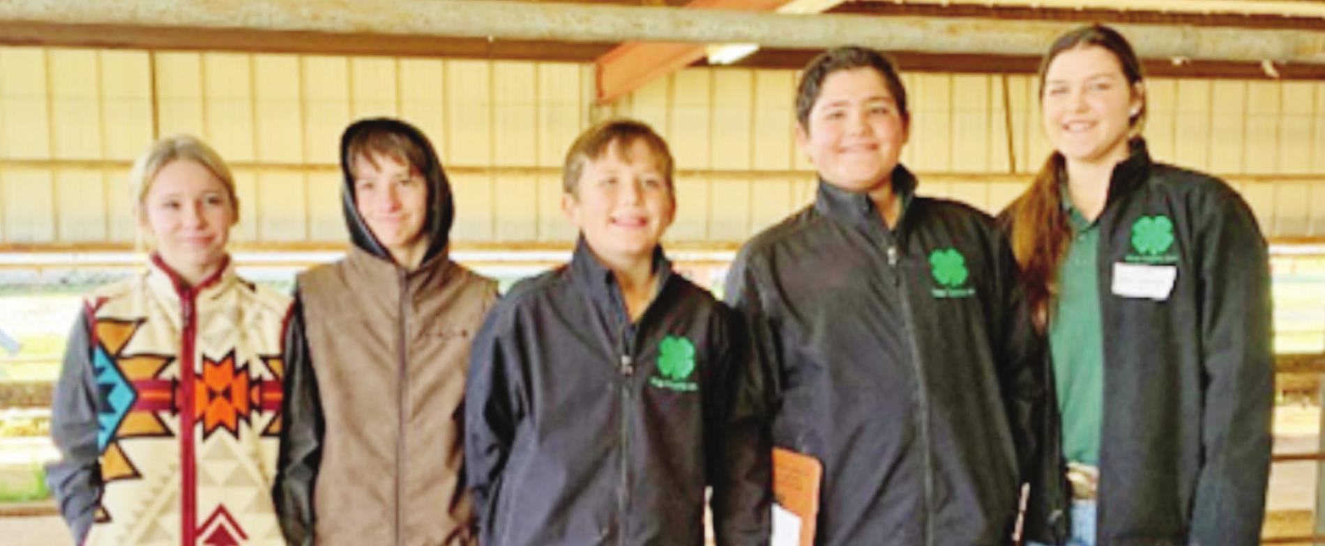 Titus County 4Hers excel | Mount Pleasant