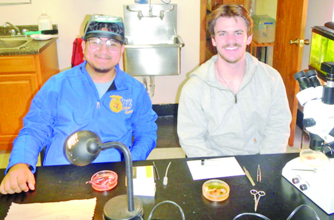 NTCC students conducting research in vertebrate parasitology | Mount ...